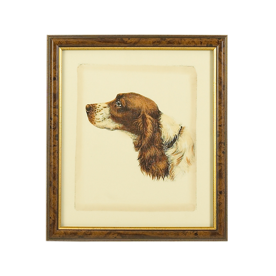 Wildwood Lamps Danchin Cocker Spaniel Hand Colored Print | Gracious Style