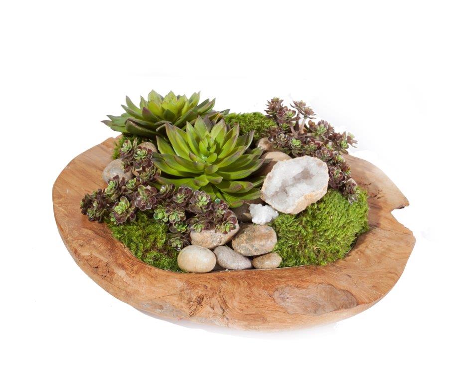 Ivy Guild Succulents in Wood Bowl with Stone Crystal and Decorative ...