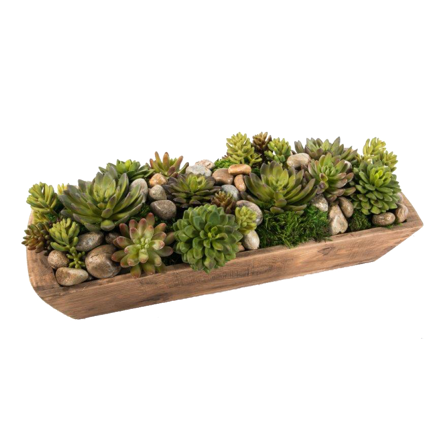 Ivy Guild Succulents in Wood Trough 8" x 24" | Gracious Style