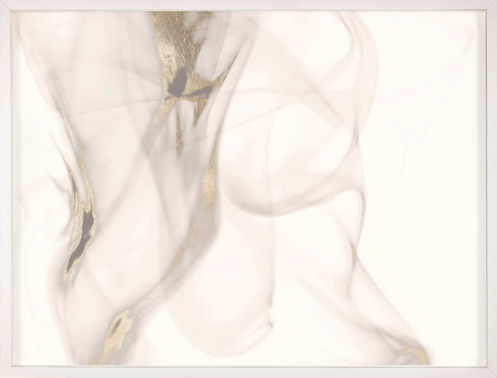 Natural Curiosities Prairie Wind 2, Framed | Gracious Style